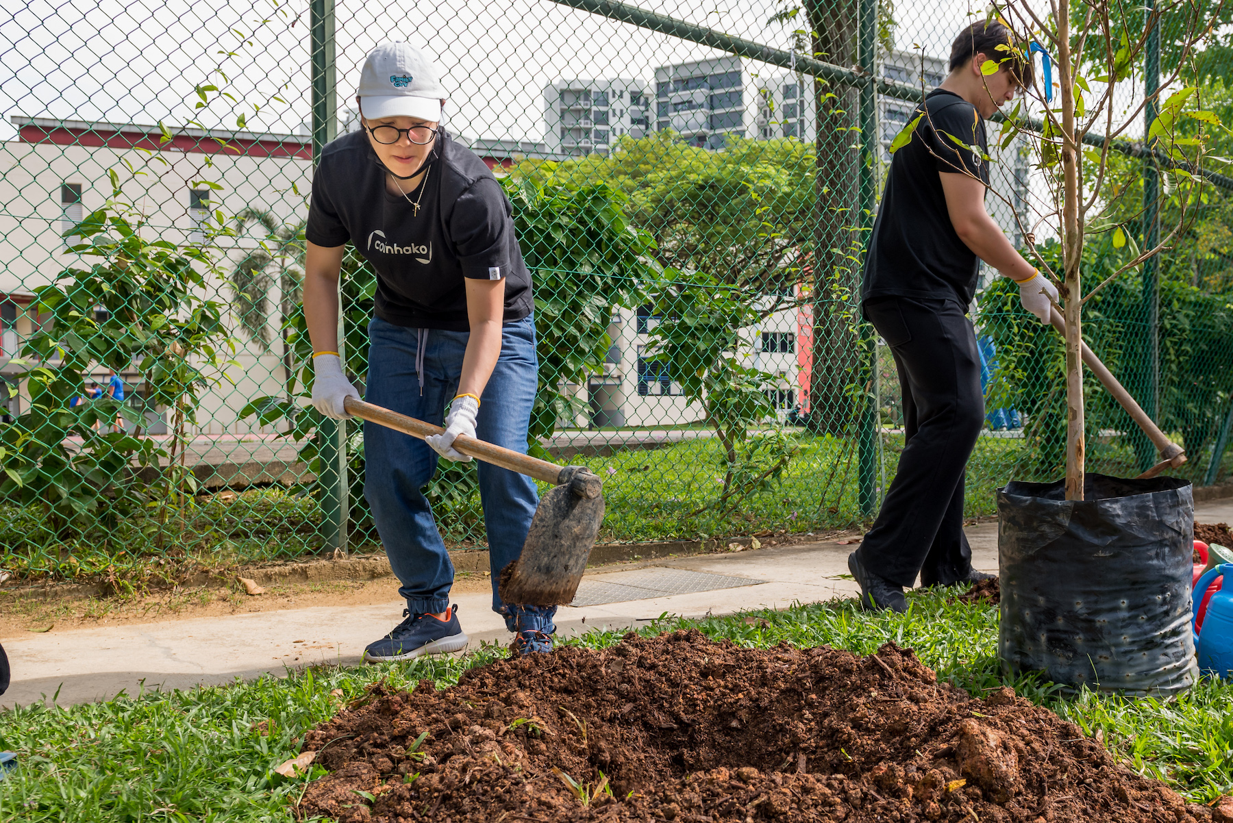 ACCA/NParks Plant a Tree Project - The Luxury Network Singapore