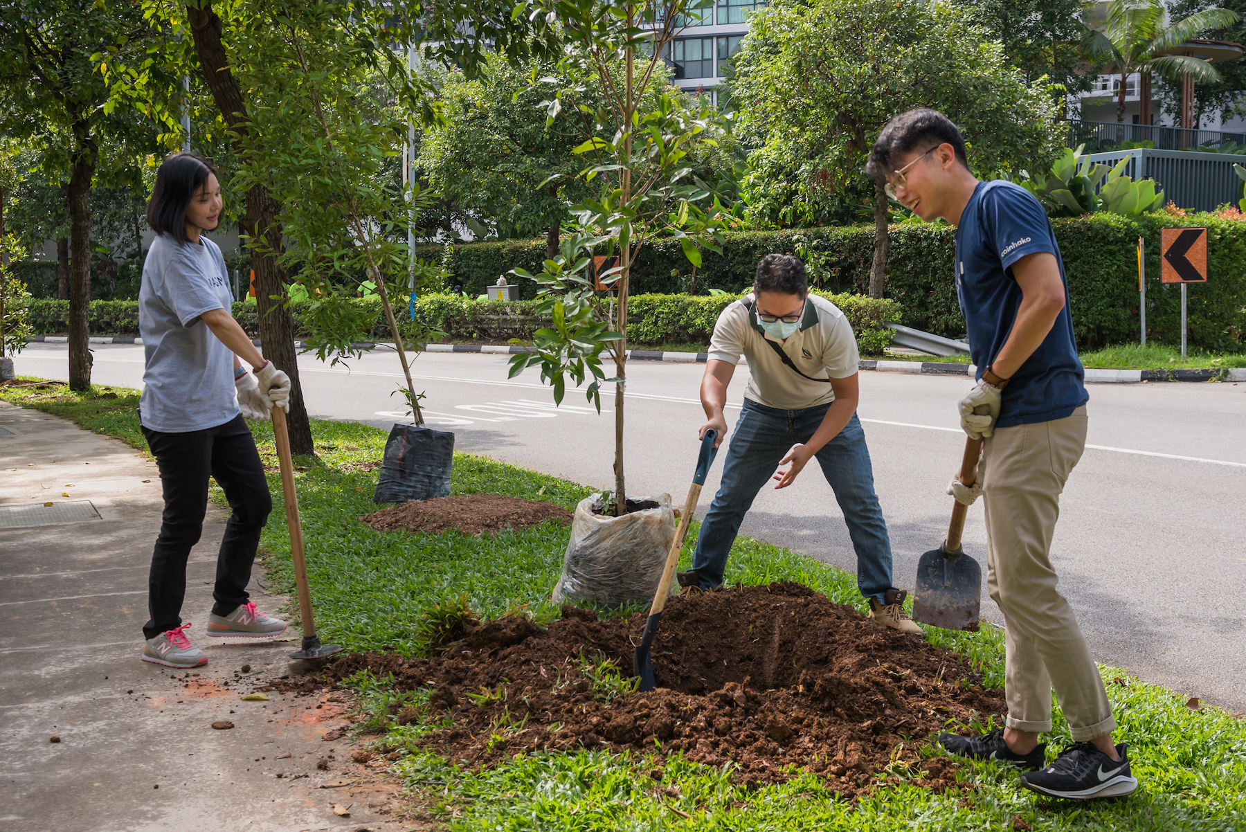 ACCA/NParks Plant a Tree Project - The Luxury Network Singapore
